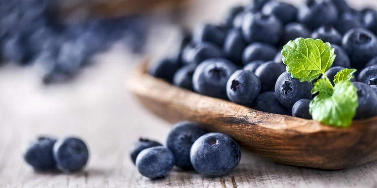 Berry Shrubs to Plant Now and Harvest in Summer | Platt Hill Nursery ...