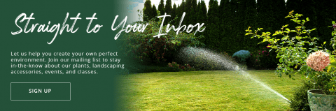 How to Plan Your Gardening Season | Platt Hill Nursery | Blog & Advice