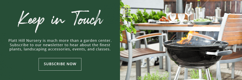 Perfect Time to Start Your Outdoor Space | Platt Hill Nursery | Blog ...