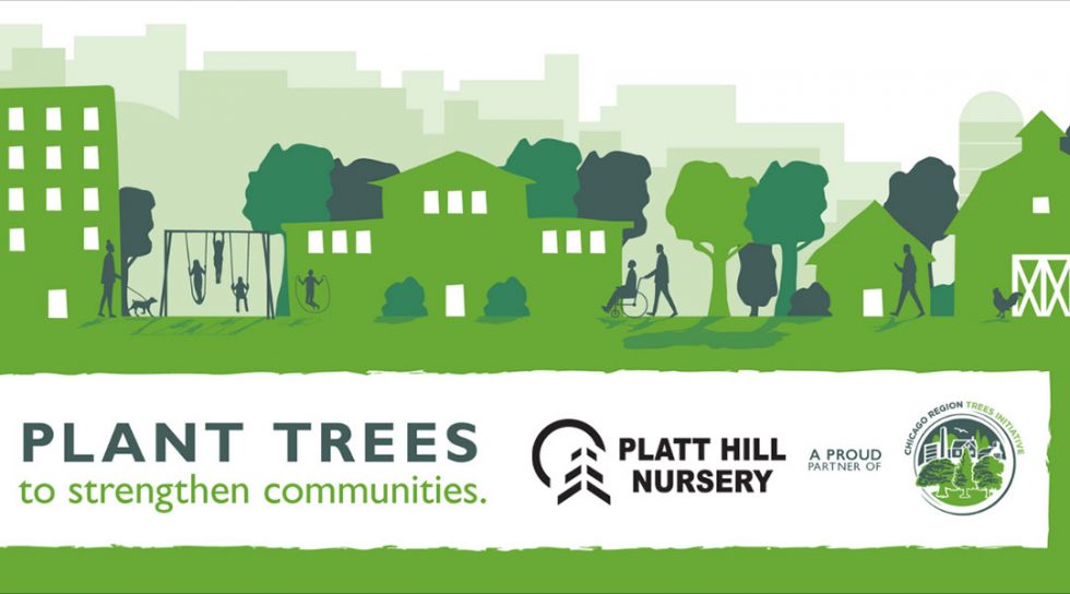 Plant Trees to Strengthen Communities | Platt Hill Nursery | Platt Hill ...