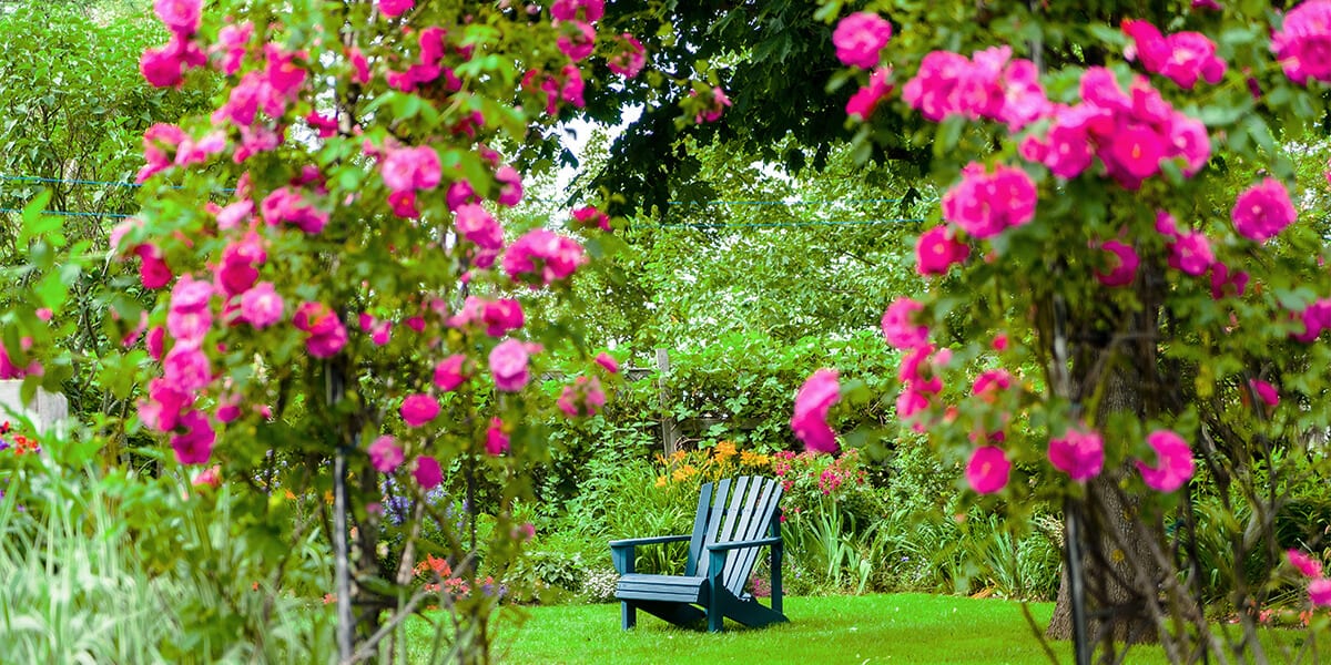 Trends in Outdoor Living | Platt Hill Nursery | Blog & Advice