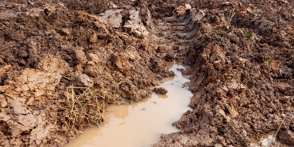 The Best Tips to Prepare Garden Soil | Platt Hill Nursery | Blog & Advice