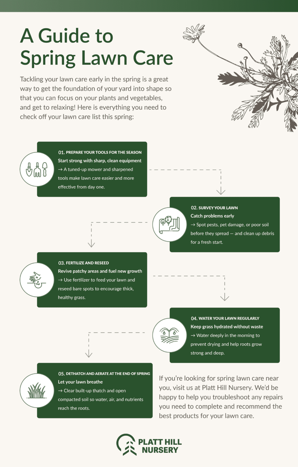 A Guide to Spring Lawn Care | Platt Hill Nursery