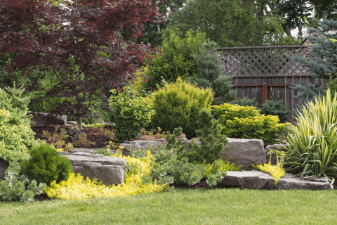 Elements of Landscape Design | Platt Hill Nursery | Blog & Advice