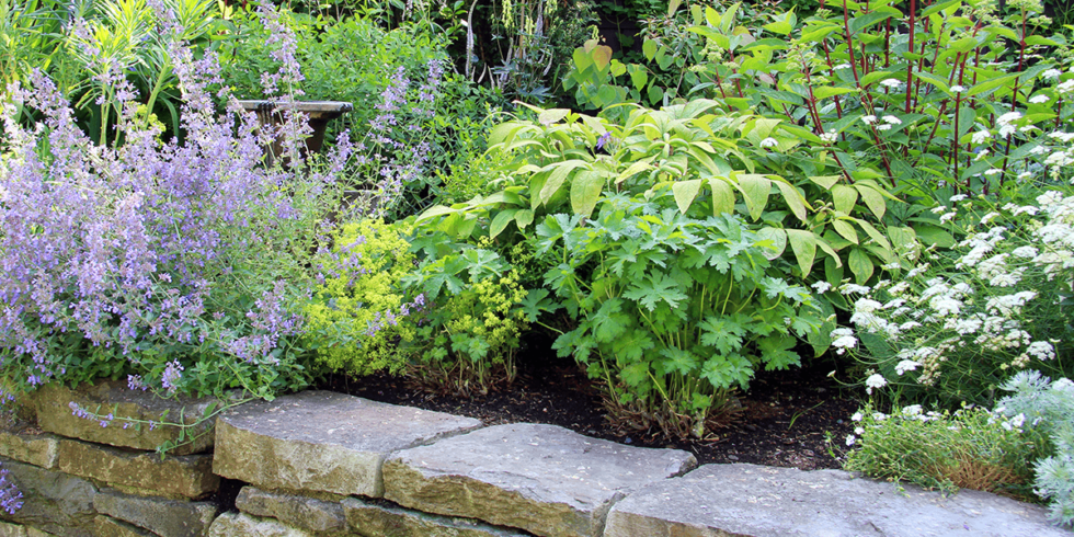 How to Style Perennial Gardens in Chicago | Platt Hill Nursery | Blog ...
