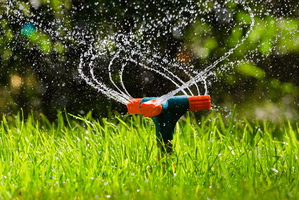 Heat Wave Gardening: Managing Your Landscape | Platt Hill Nursery ...