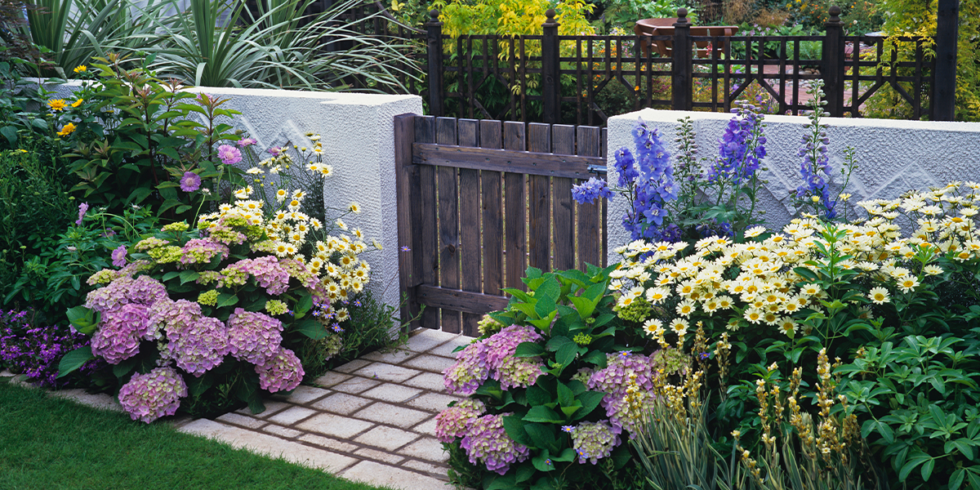 Low-Maintenance Gardening with Perennial Flowers for Non-Stop Color ...