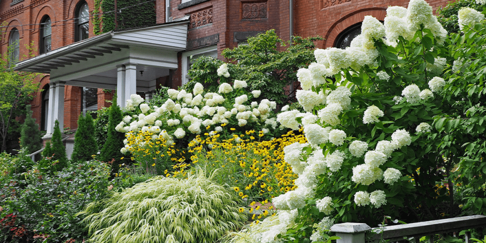 Premium Garden Center and Plant Nursery | Visit the plant experts