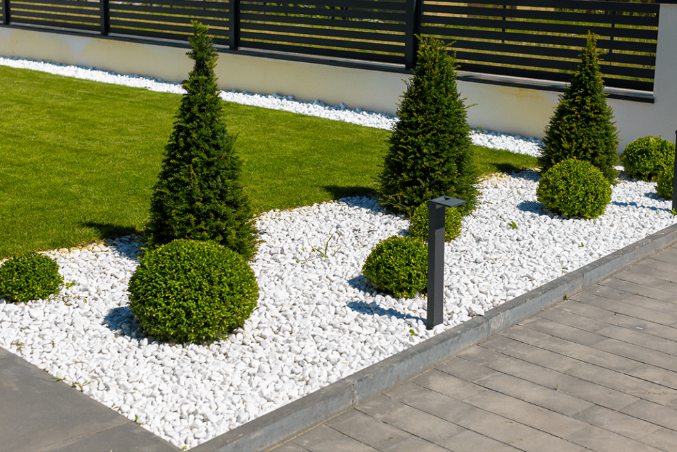 Tips To Keep Your Evergreens Safe From The Cold | Platt Hill Nursery ...