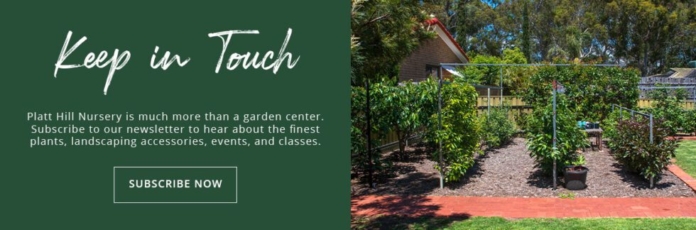 Creating an Edible Orchard for Your Chicago Garden | Platt Hill Nursery ...