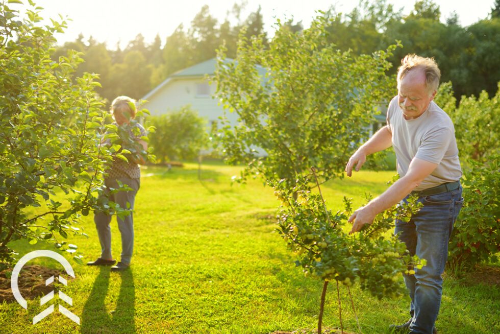Creating an Edible Orchard for Your Chicago Garden | Platt Hill Nursery ...