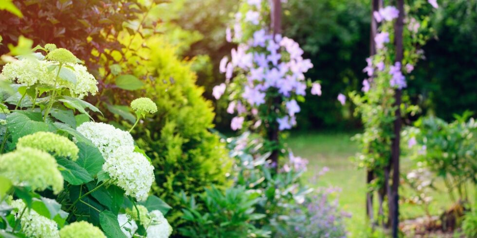 Elegant Garden Decor Tips that Suit Your Style | Platt Hill Nursery ...