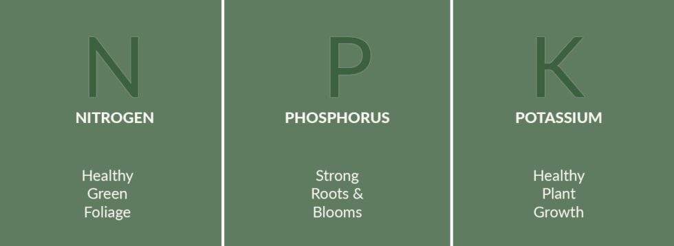 A Guide to Fertilizer for Your Whole Yard | Platt Hill Nursery ...