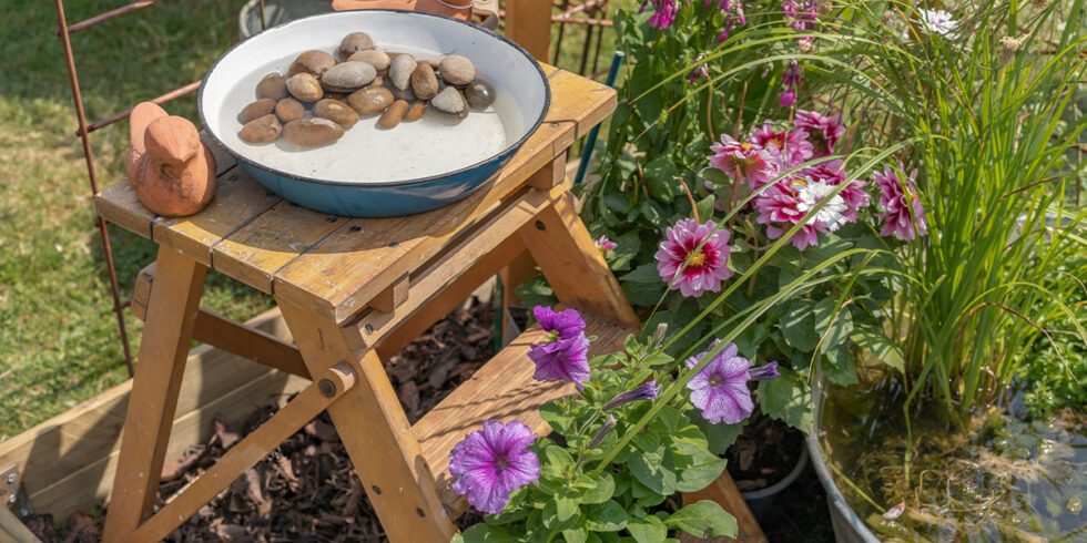 Bee And Butterfly Water Station Ideas | Platt Hill Nursery | Chicago ...