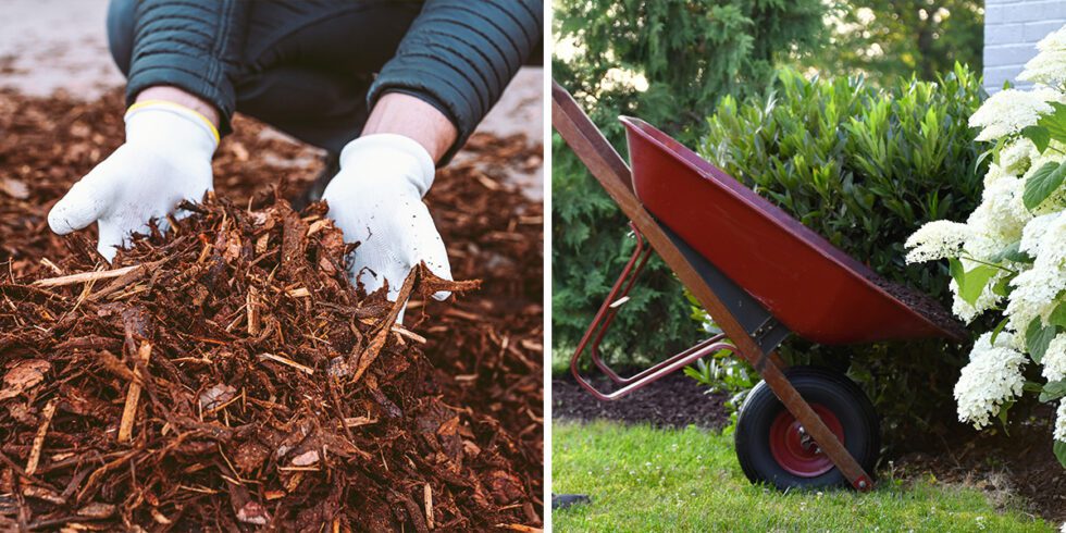 Your Complete Guide to Fall Composting and Mulching | Platt Hill ...