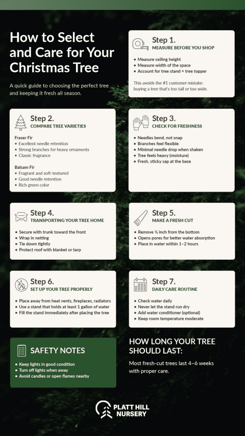 Your Guide to Holiday Tree Selection & Care | Platt Hill Nursery ...