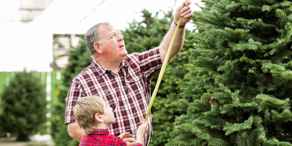 Your Guide to Holiday Tree Selection & Care | Platt Hill Nursery ...