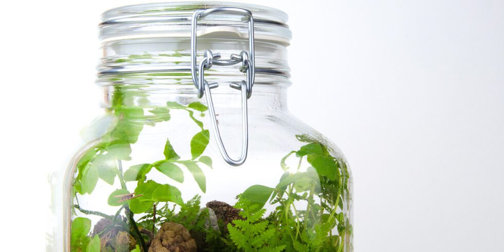 Trendy Indoor Greenhouse Ideas to Beat the Winter Blahs | Platt Hill ...