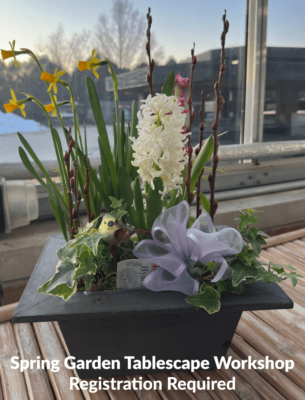 Platt Hill Nursery Spring Show | Spring Show Platt Hill Nursery